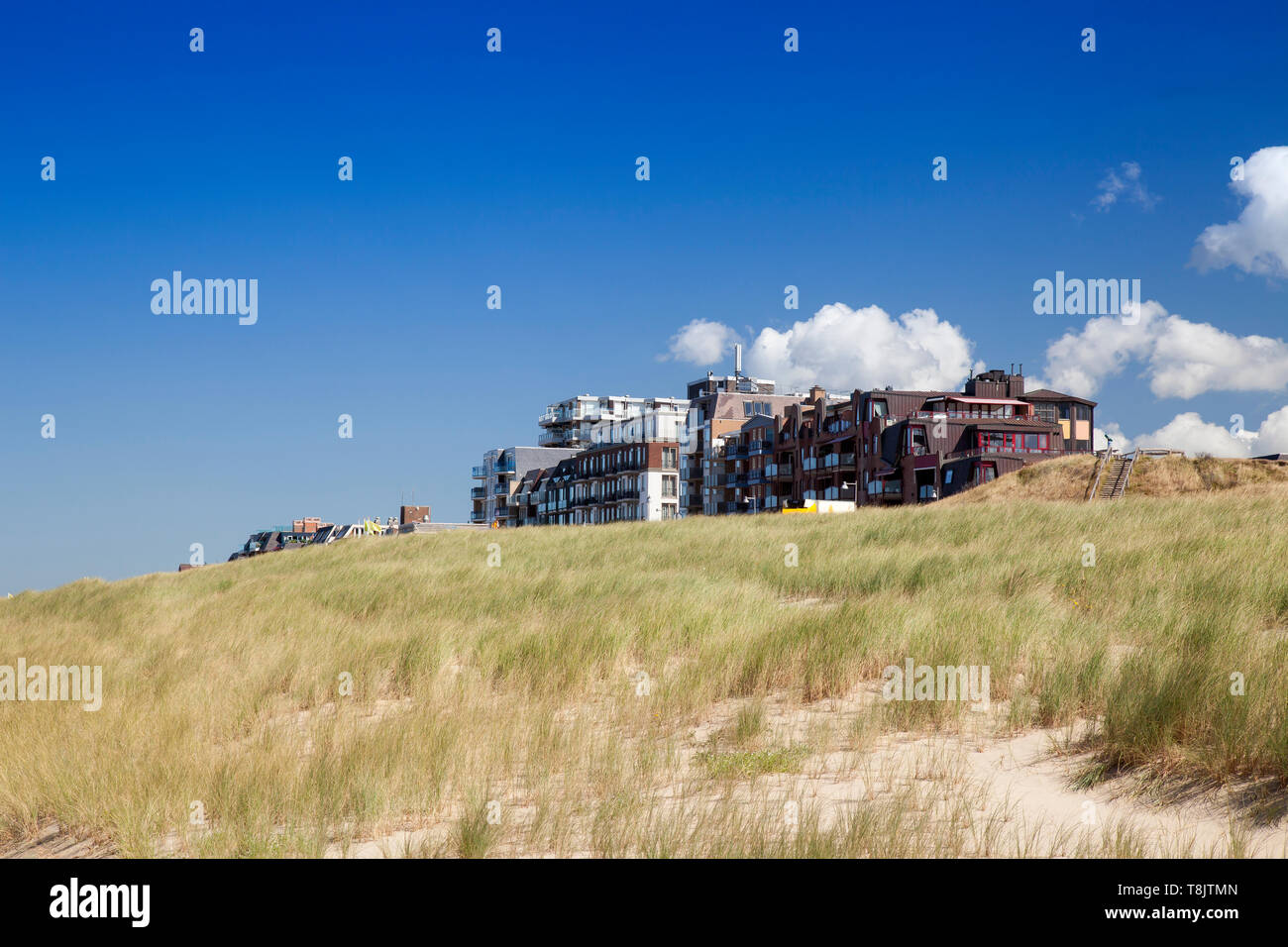 Holland desert hi-res stock photography and images - Alamy
