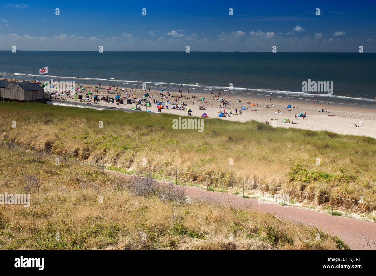 Dune landscape on the beach of Egmond,North sea , Holland, Netherlands ...