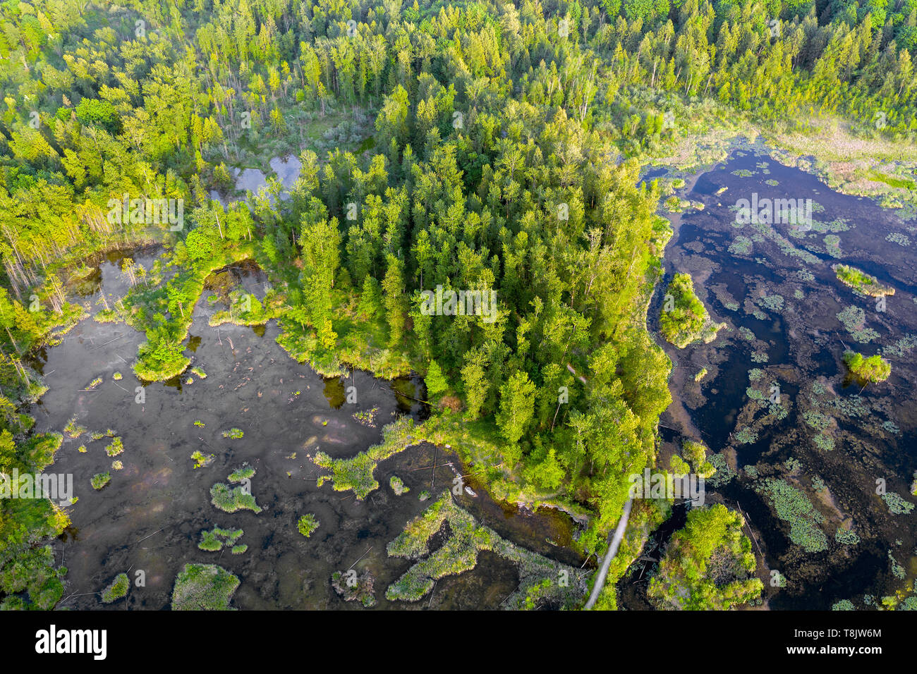 Of north cheam hi-res stock photography and images - Alamy