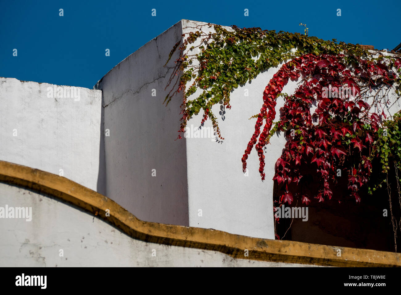 Vina virgen hi-res stock photography and images - Alamy