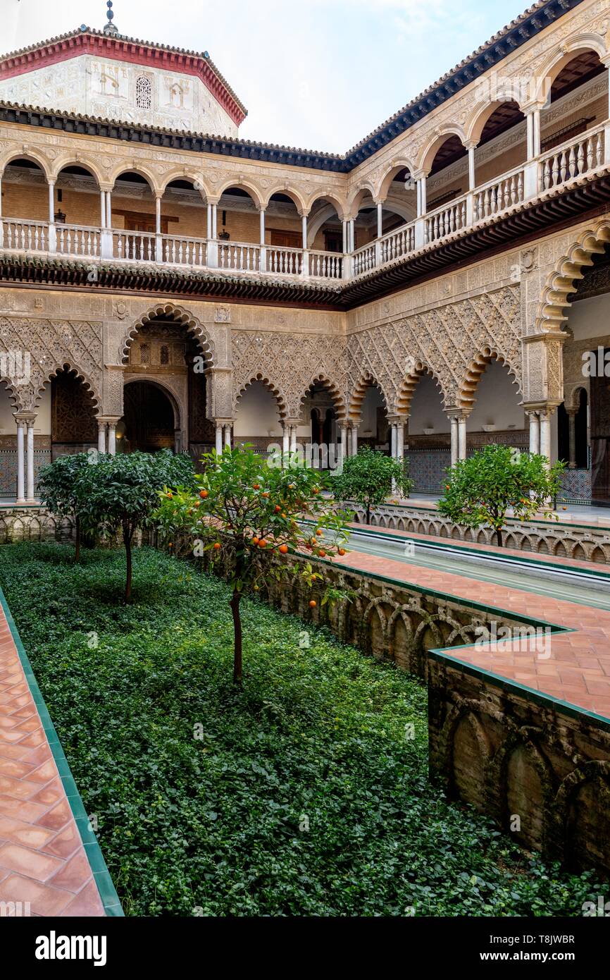 The intricate detailed Interior walls of the Alcazar Seville Spain ...