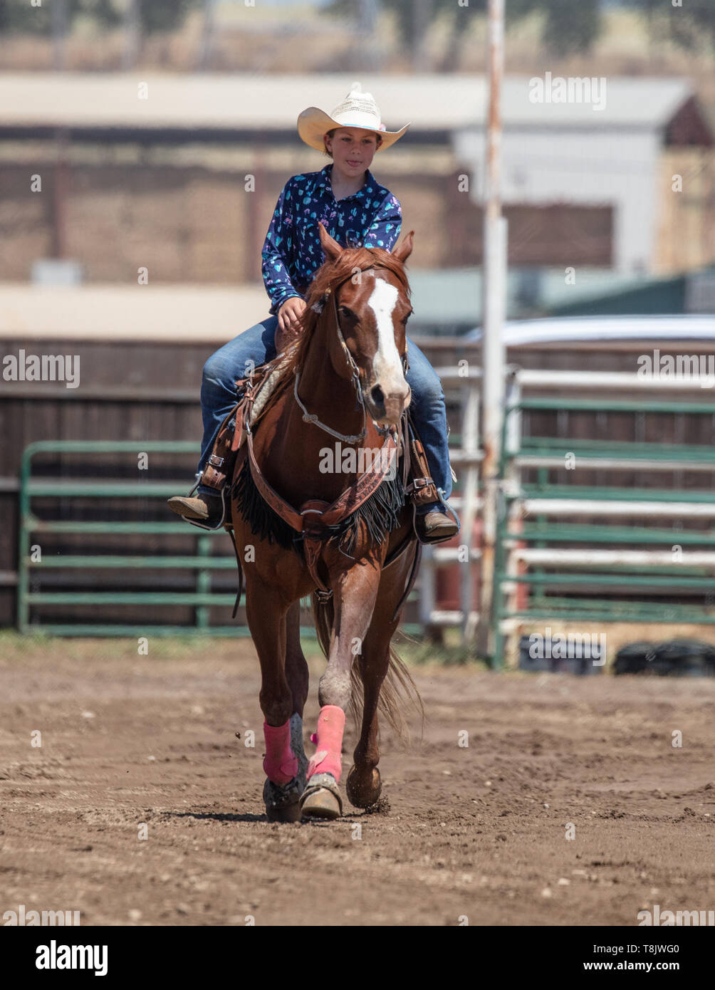 Rodeo action at the Cottonwood Rodeo in Northern California Stock Photo ...