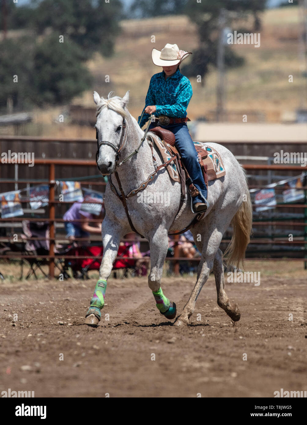 Rodeo action at the Cottonwood Rodeo in Northern California Stock Photo ...