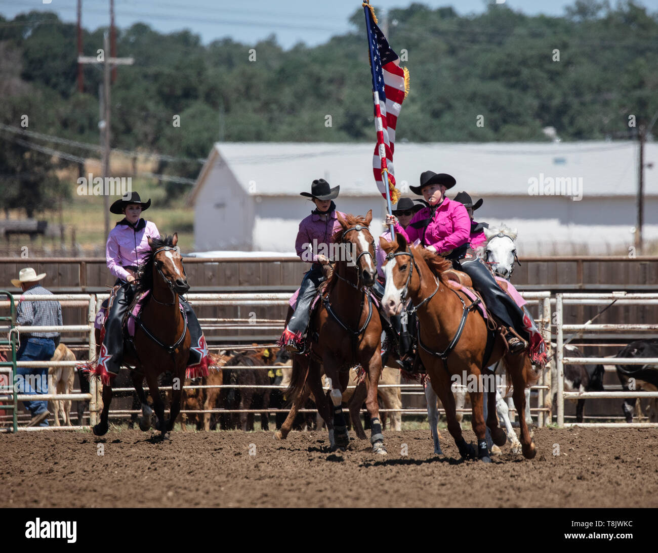 Rodeo action at the Cottonwood Rodeo in Northern California Stock Photo ...
