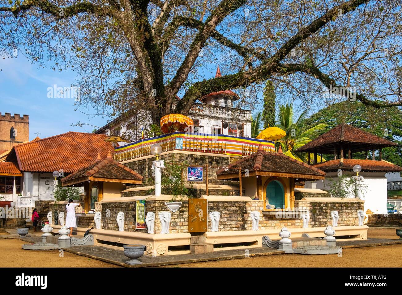 Sri lanka religion palace hi-res stock photography and images - Alamy