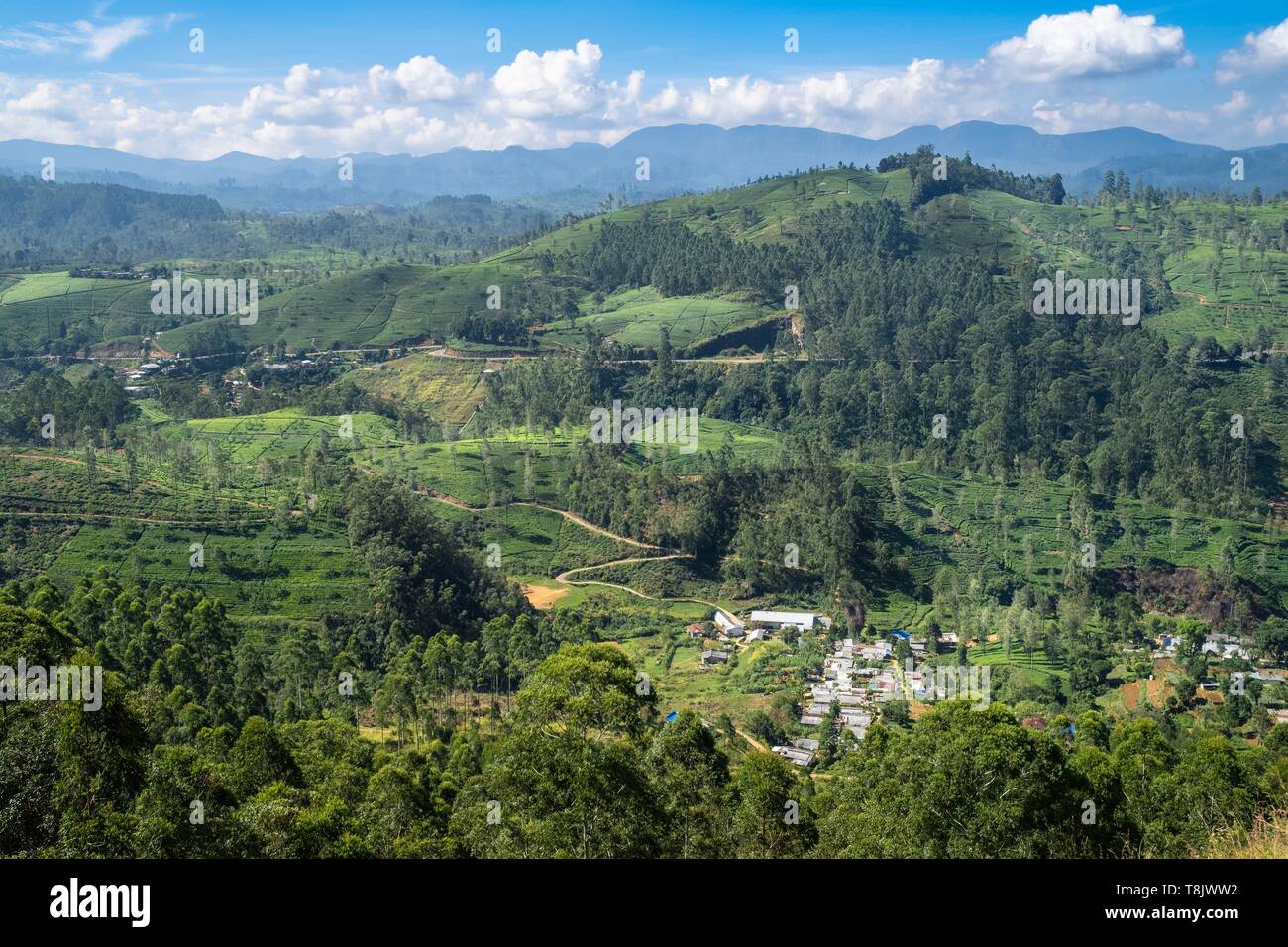Sri Lanka, Uva province, along the train line that connects Badulla to ...