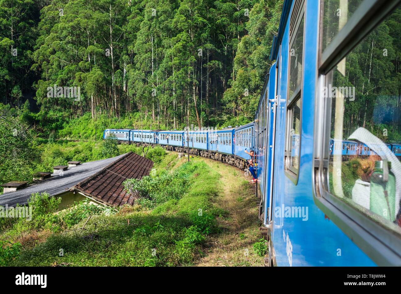 Sri Lanka, Uva province, the train line that connects Badulla to Kandy ...
