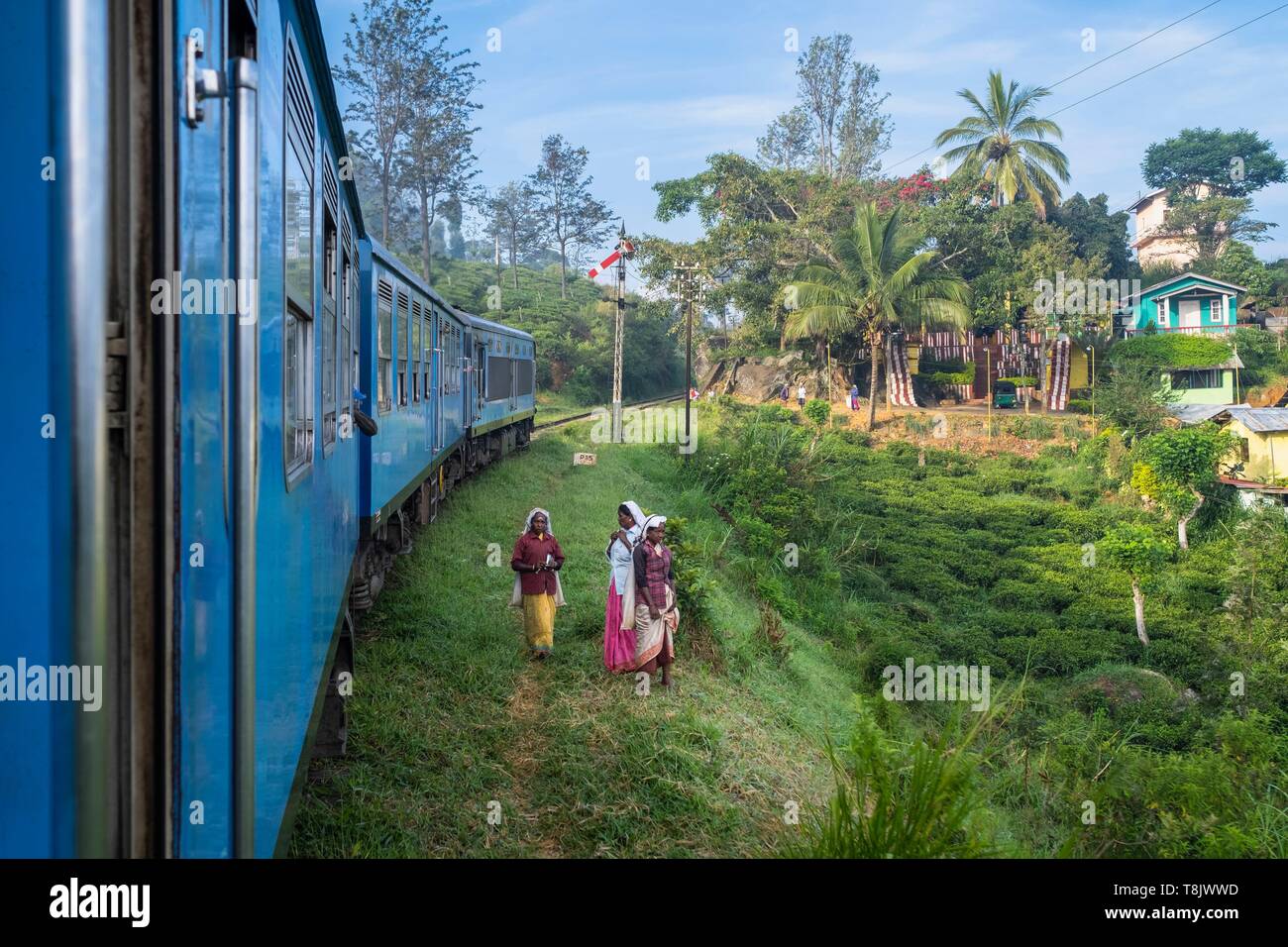 Sri Lanka, Uva province, the train line that connects Badulla to Kandy ...