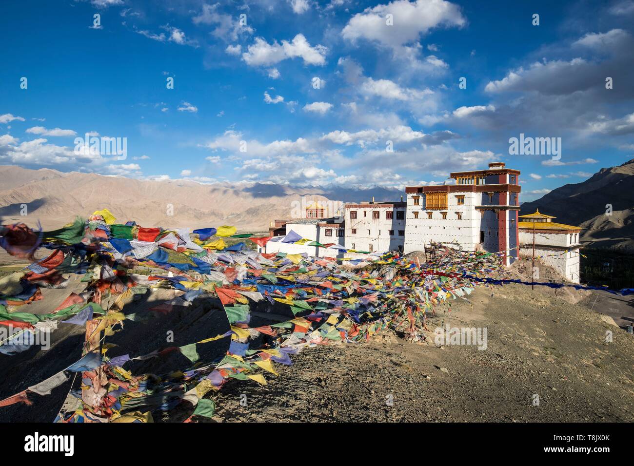 India, Jammu and Kashmir state, Himalaya, Ladakh, Indus valley, Matho ...