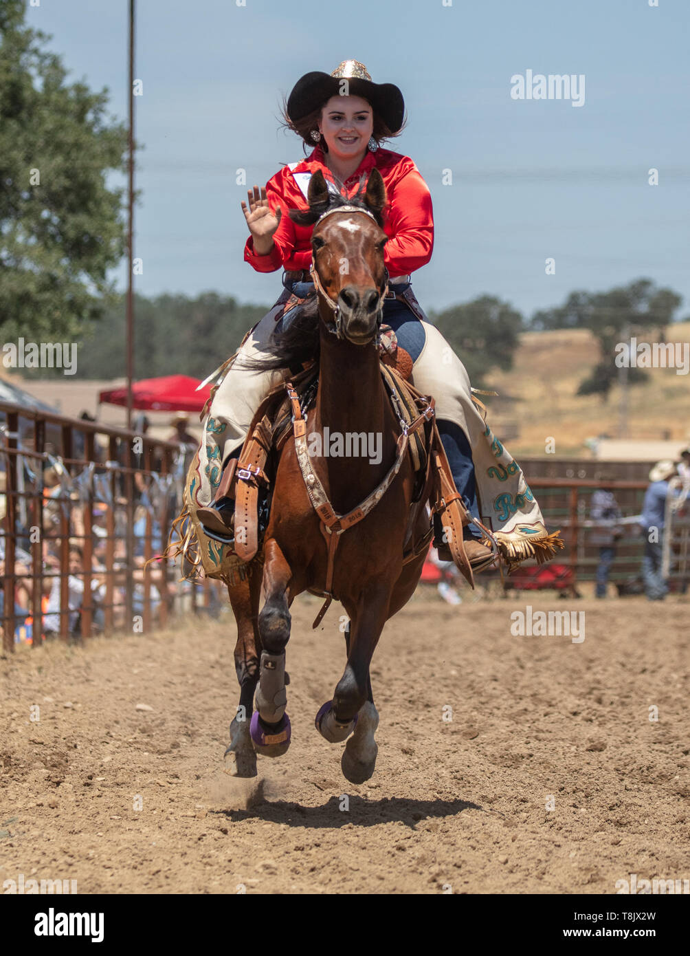 Rodeo action at the Cottonwood Rodeo in Northern California Stock Photo ...