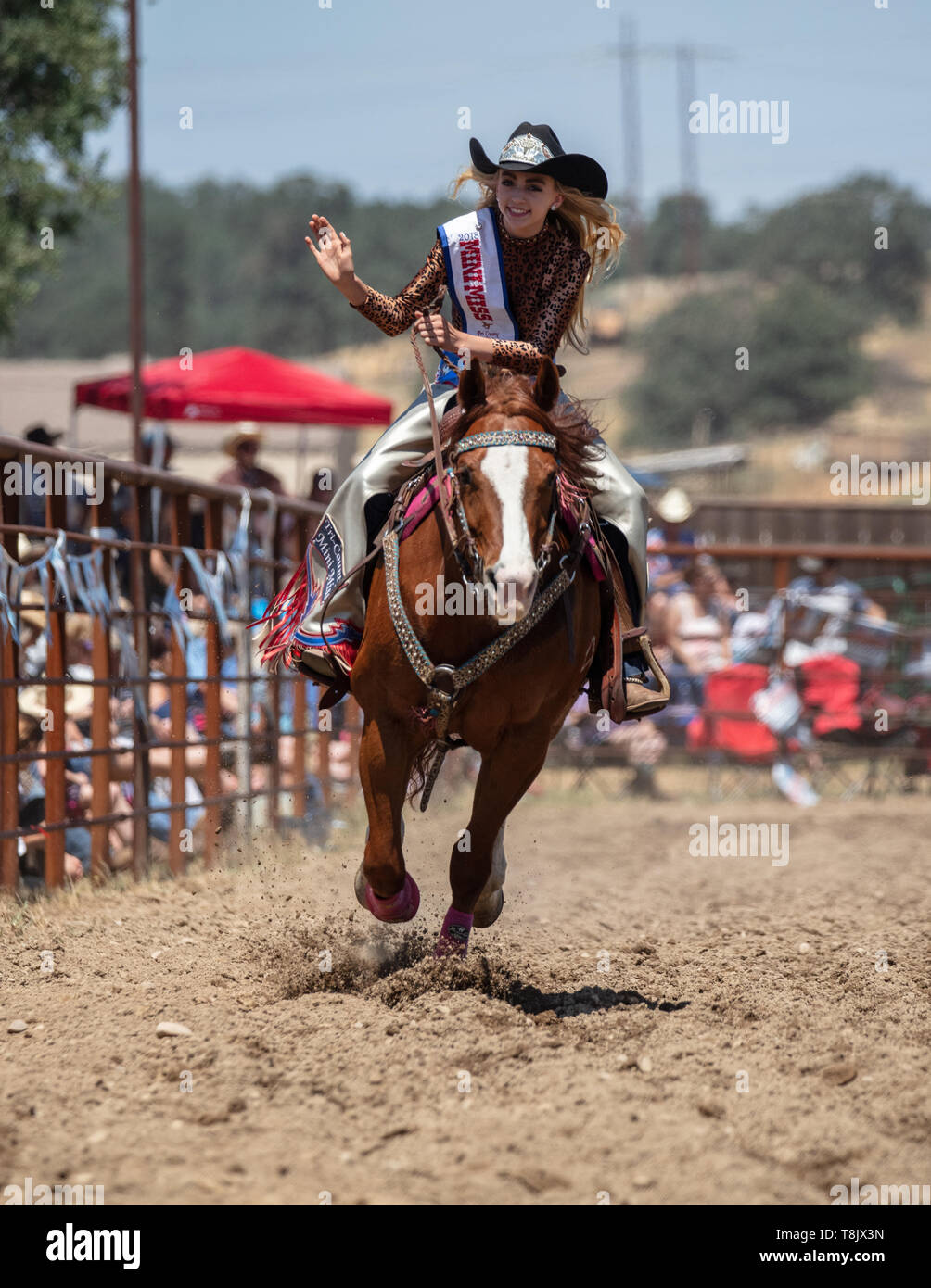 Rodeo action at the Cottonwood Rodeo in Northern California Stock Photo ...