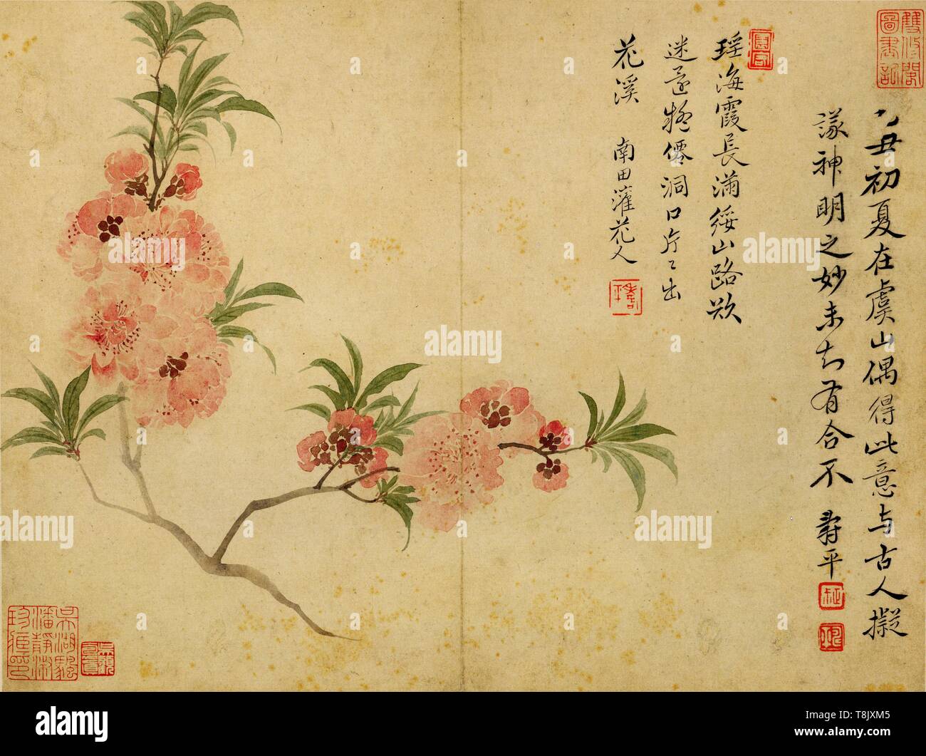 Qing Dynasty, Shoupingping, flowers and birds, eight insects Stock ...