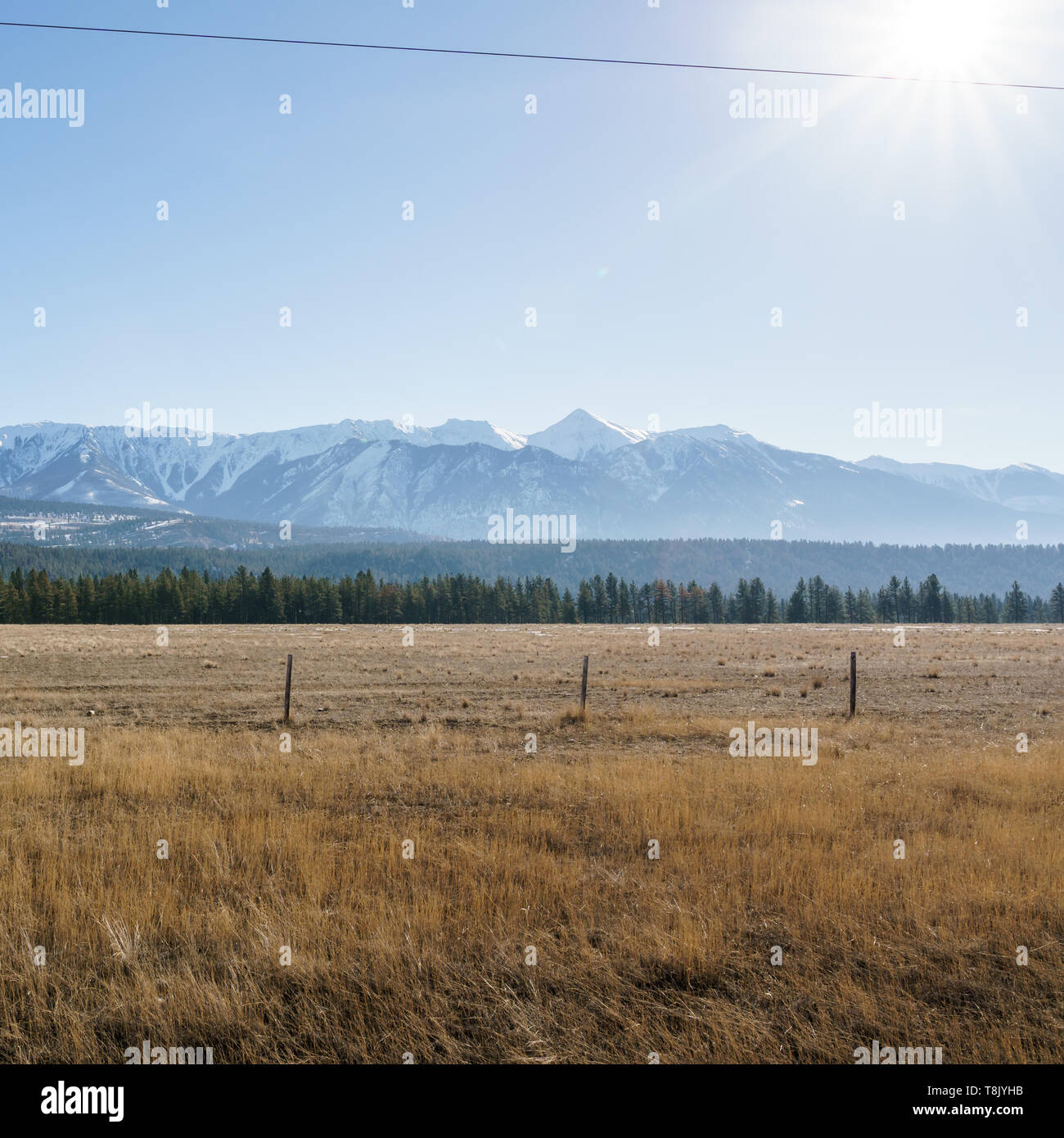 North american climate zone hi-res stock photography and images - Alamy