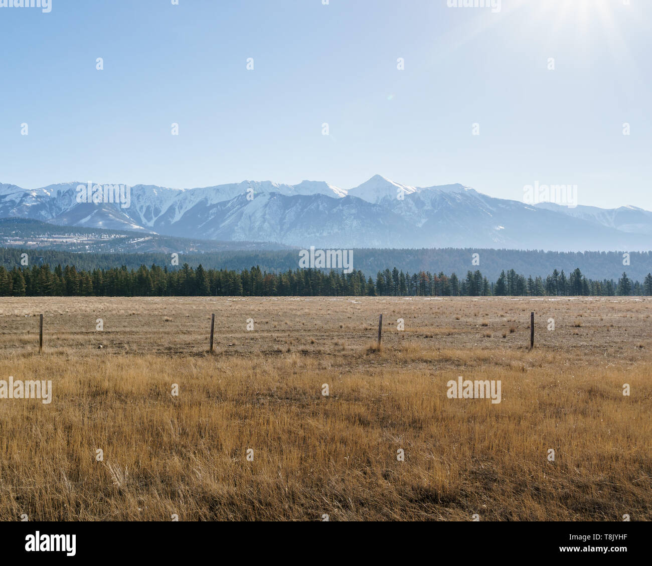 Grassland ecosystem hi-res stock photography and images - Alamy
