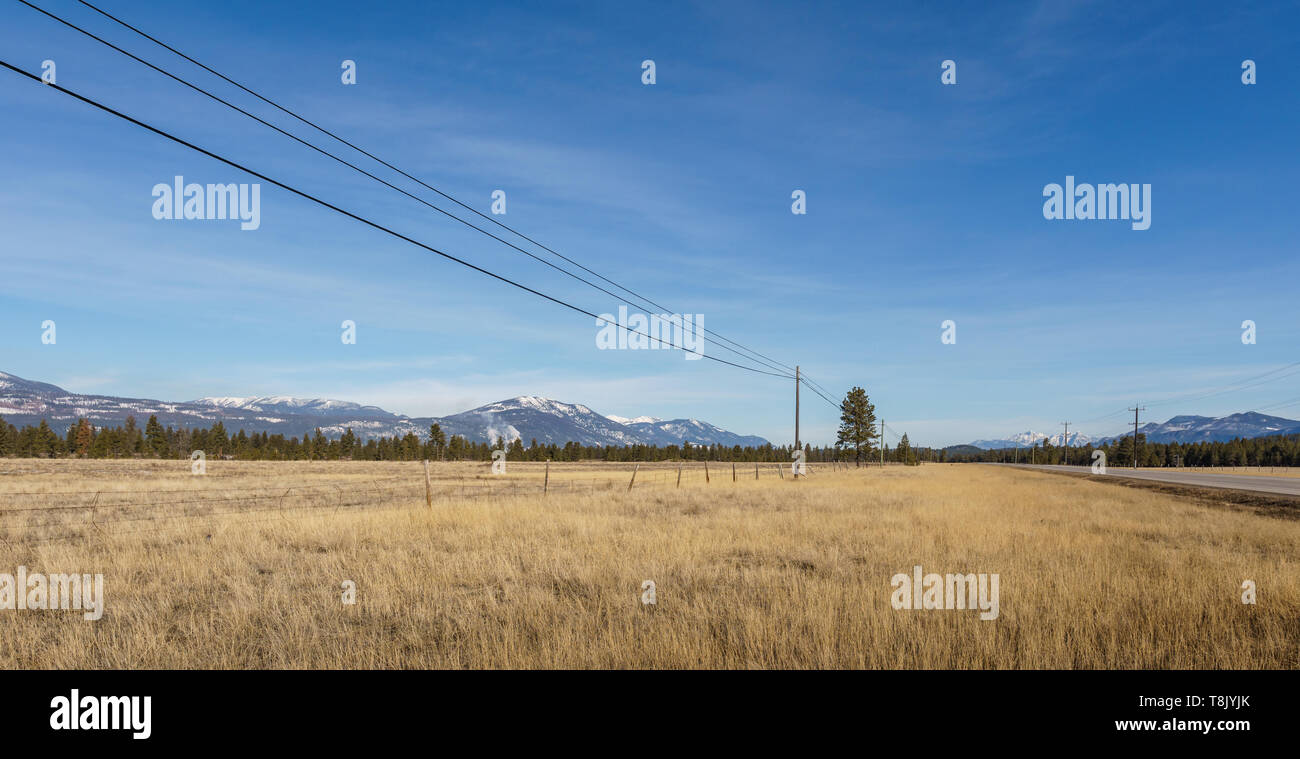 Grassland ecosystem hi-res stock photography and images - Alamy