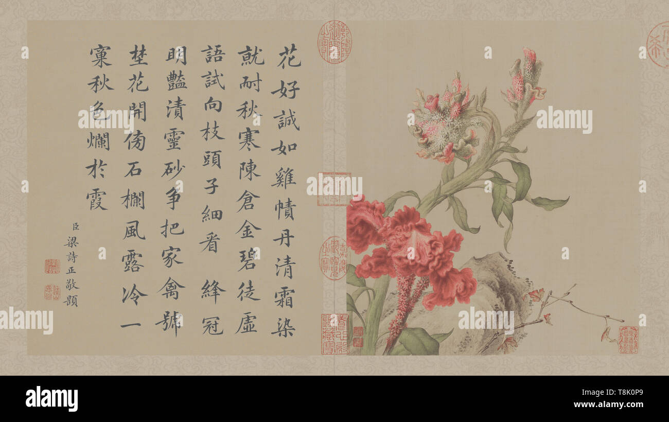 Qing Dynasty Lang Shining Flower and Bird Atlas 10 Stock Photo - Alamy