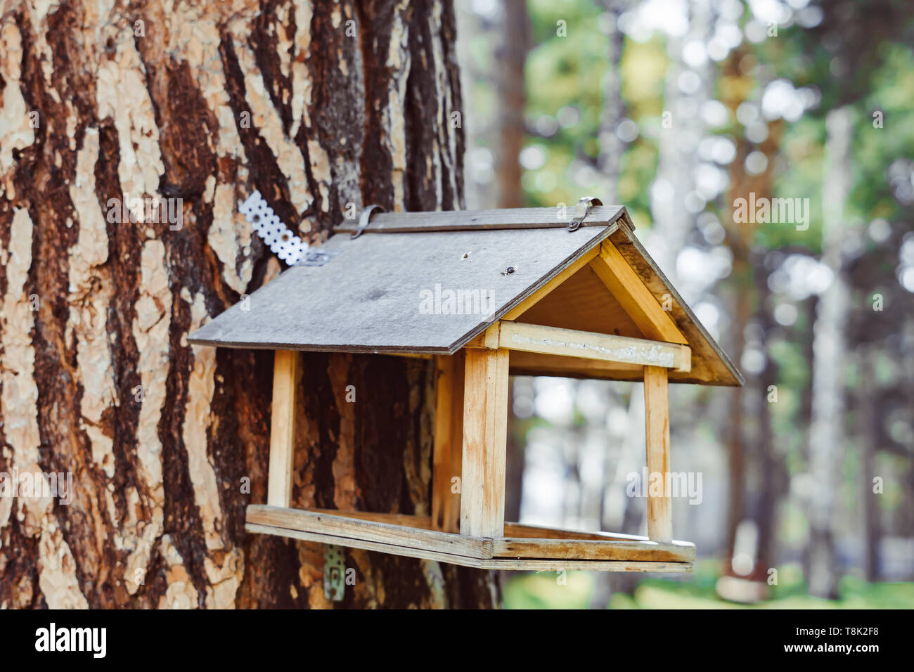 Birdhouse in the woods on a hanging tree Stock Photo - Alamy