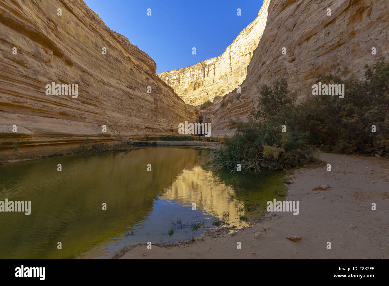 View of the Canyon of Ein Avdat National Park, the Negev Desert ...