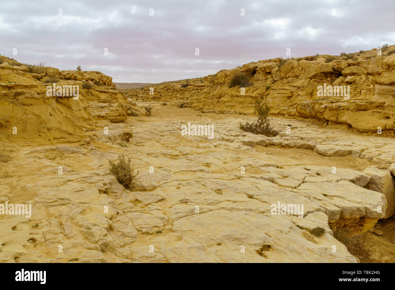 Landscape of a wadi (desert valley) in Ein Avdat National Park, the ...