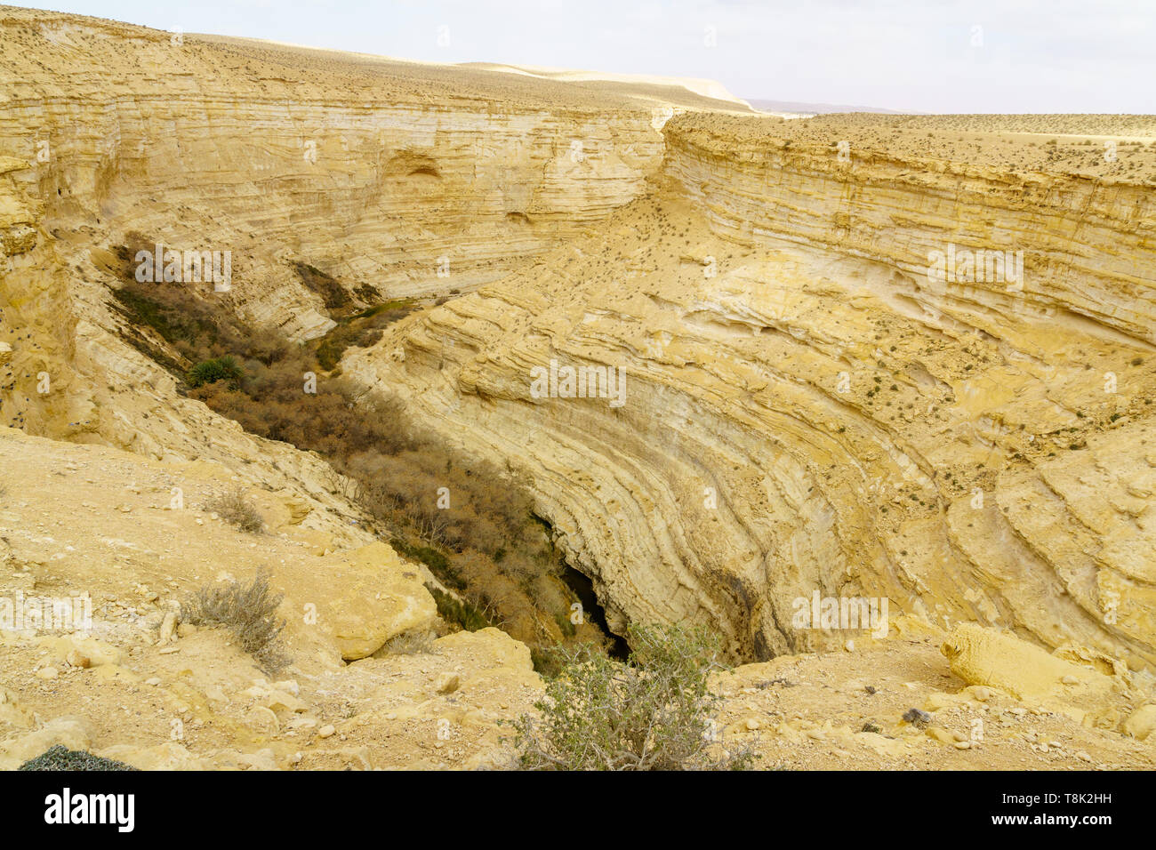 Upper view of the Canyon of Ein Avdat National Park, the Negev Desert ...