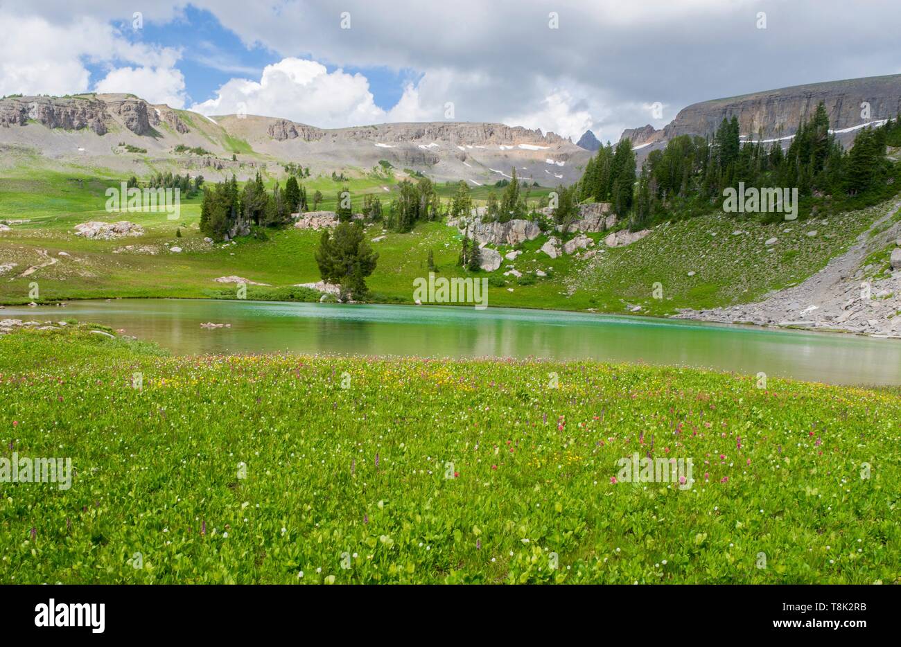 Grand Teton National Park and the Teton Crest Trail. Marion Lake, Fox ...