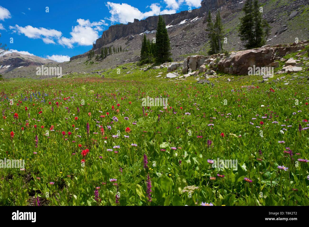 Grand Teton National Park and the Teton Crest Trail. Marion Lake, Fox ...