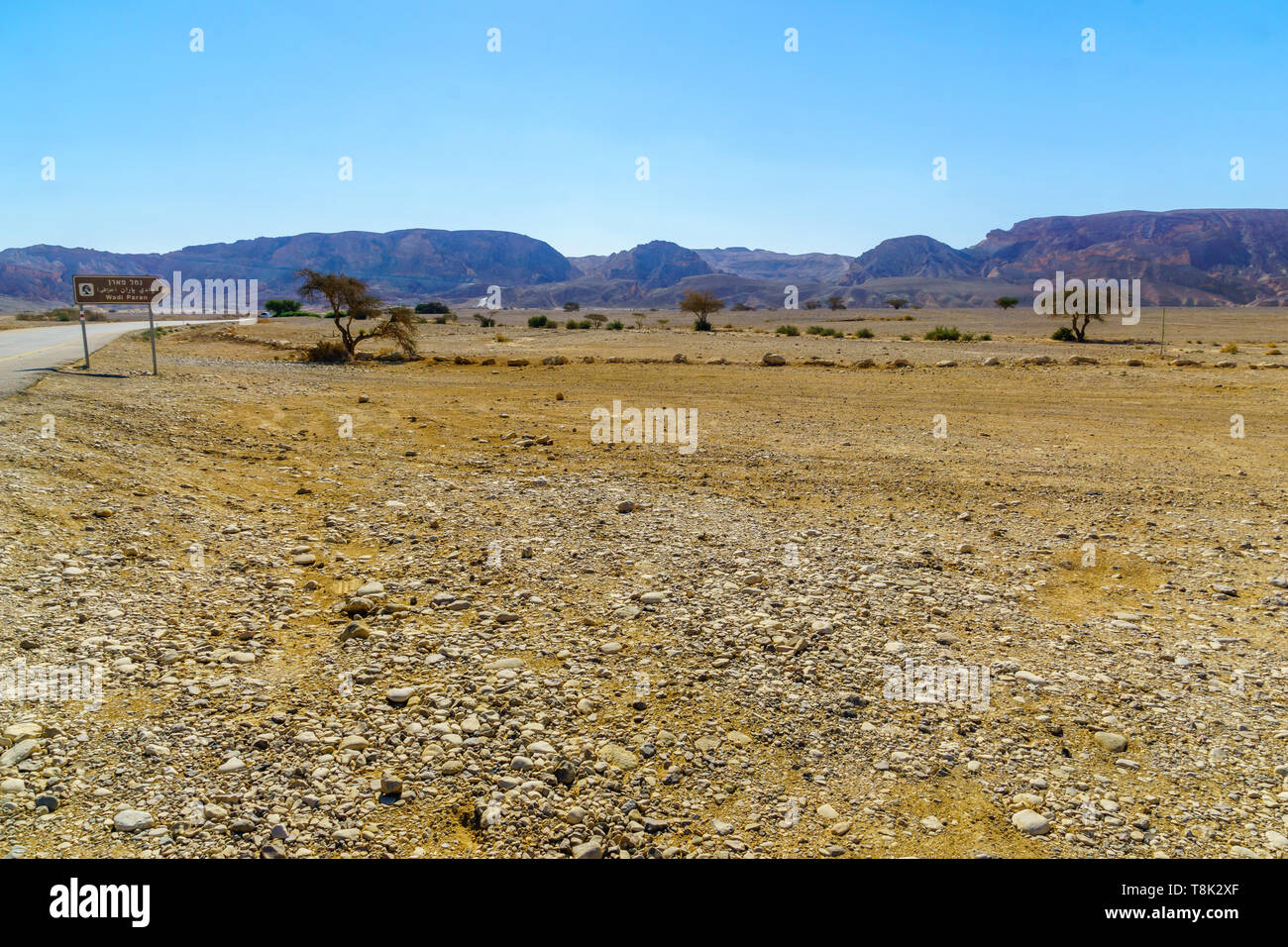 Paran arava hi-res stock photography and images - Alamy