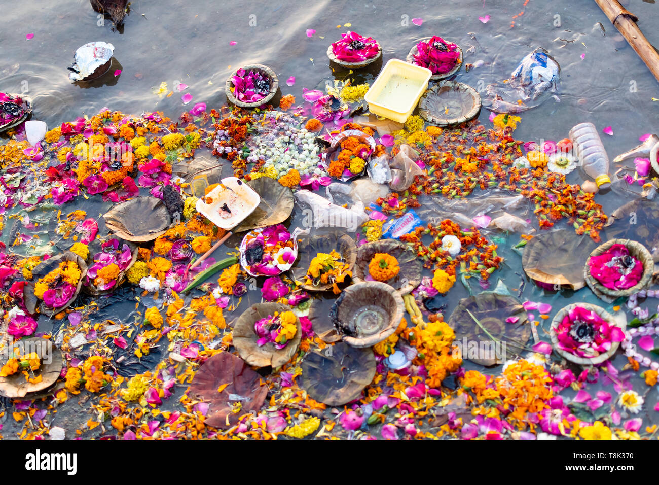 Flowers by ganges in rishikesh india hi-res stock photography and ...