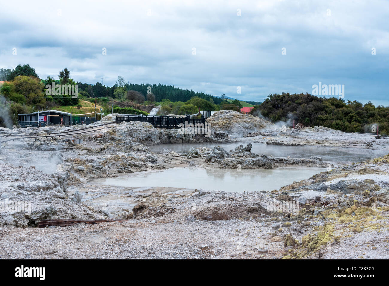 Maori gate hi-res stock photography and images - Alamy
