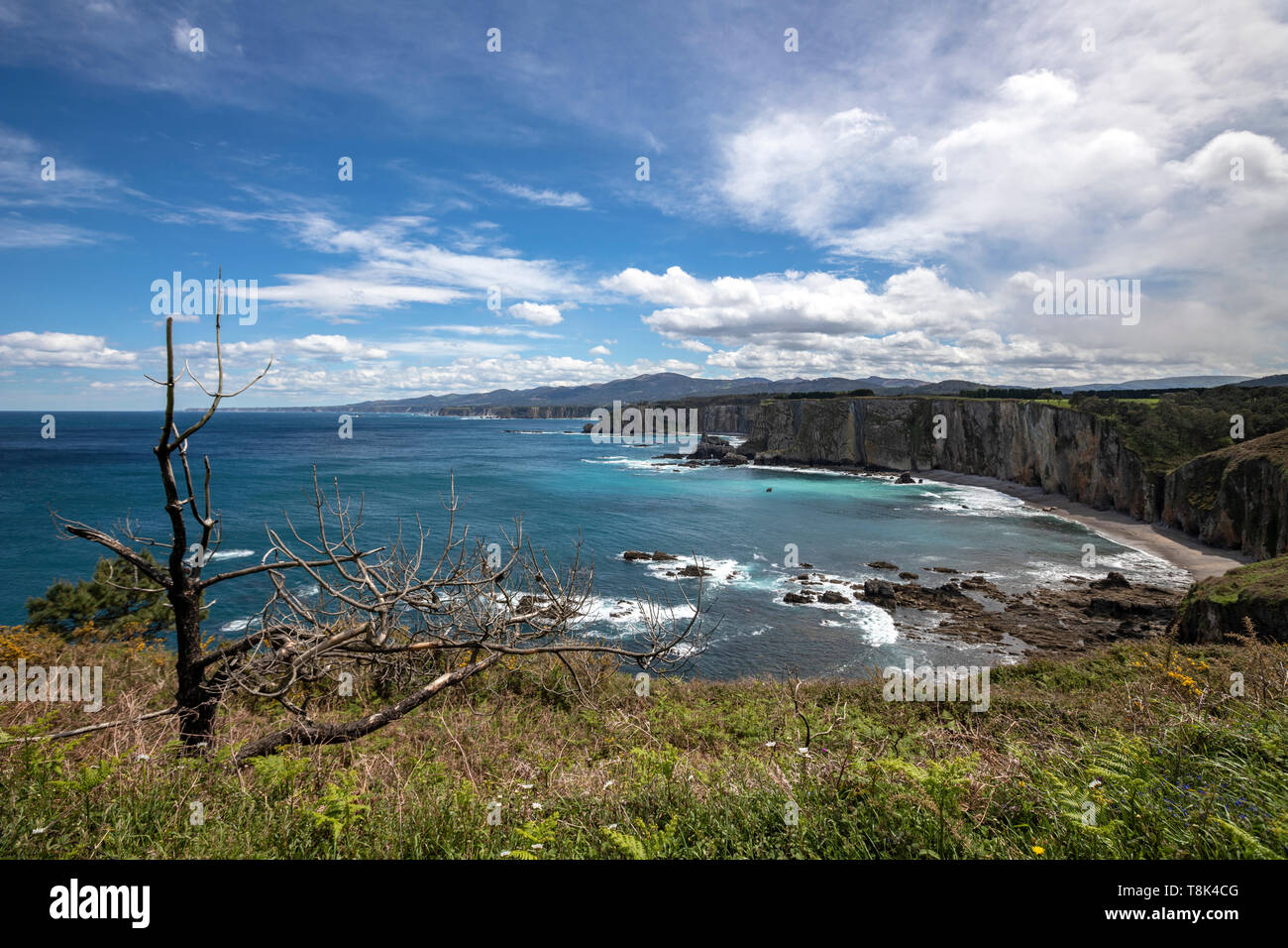 Arenoso hi-res stock photography and images - Alamy
