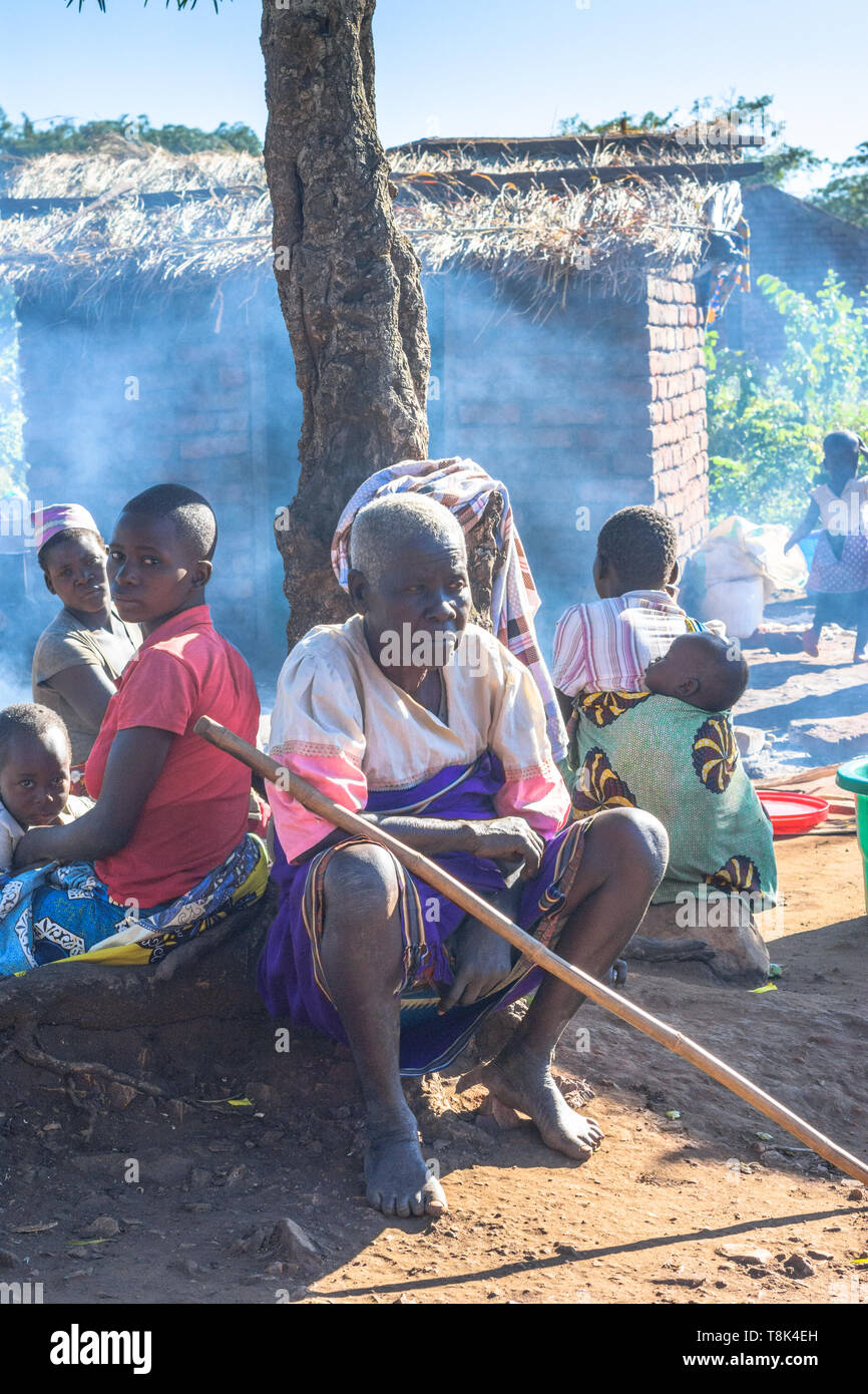 an old woman rests under a tree among other women cooking in a ...