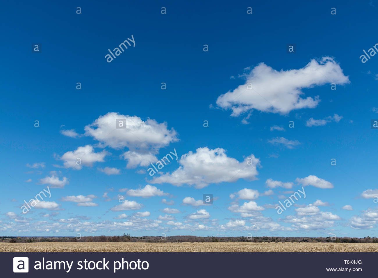 Cumulus Clouds Distance High Resolution Stock Photography and Images ...