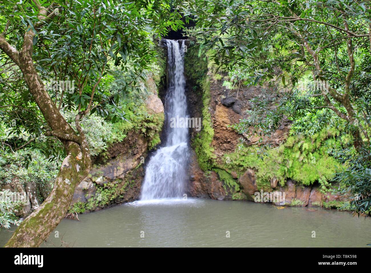 Beautiful view of Alexandra falls, Mauritius Stock Photo - Alamy