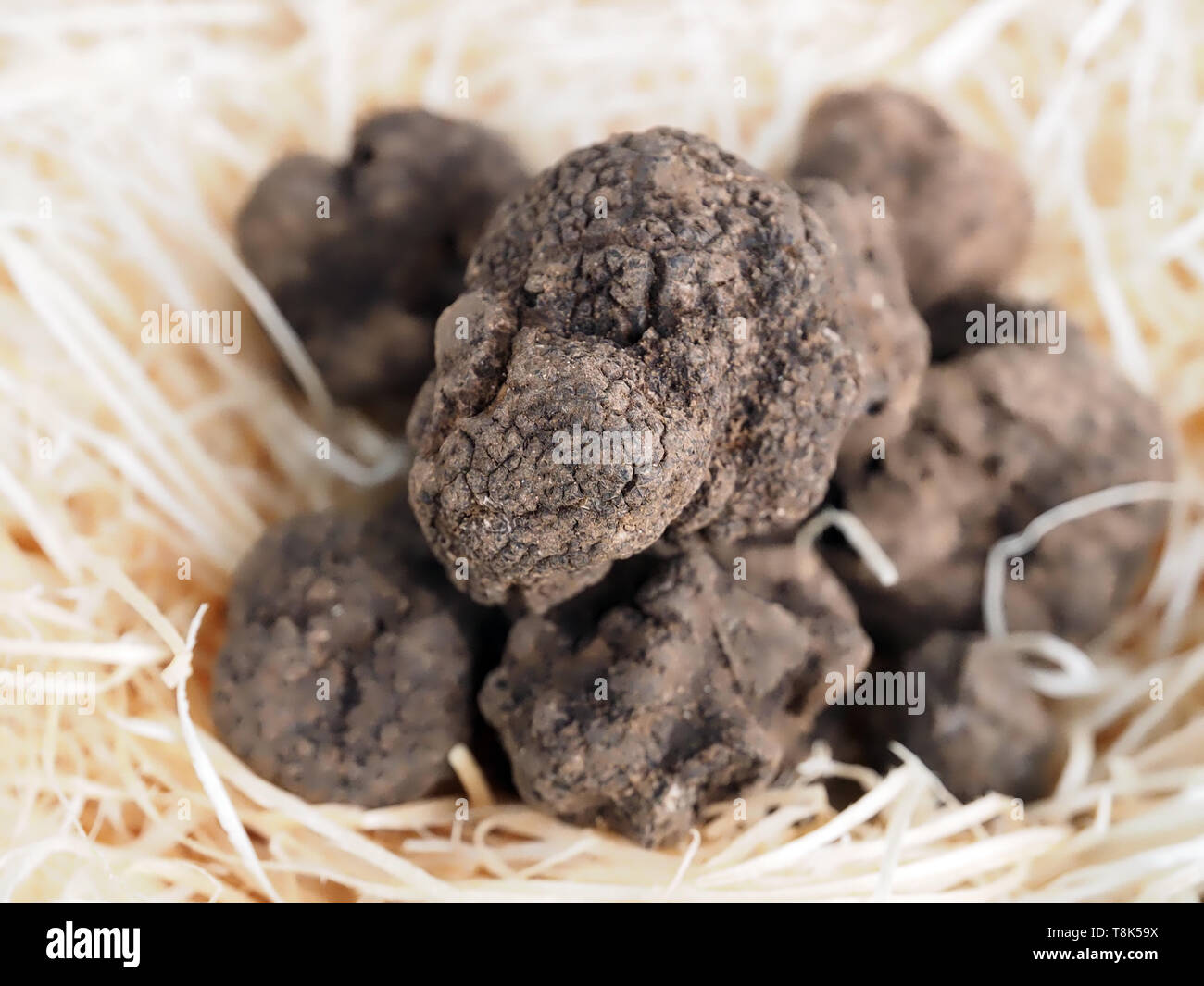 Pile of whole truffle at a food market Stock Photo - Alamy