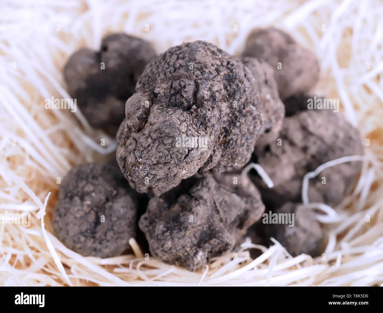 Black truffles dining hi-res stock photography and images - Alamy