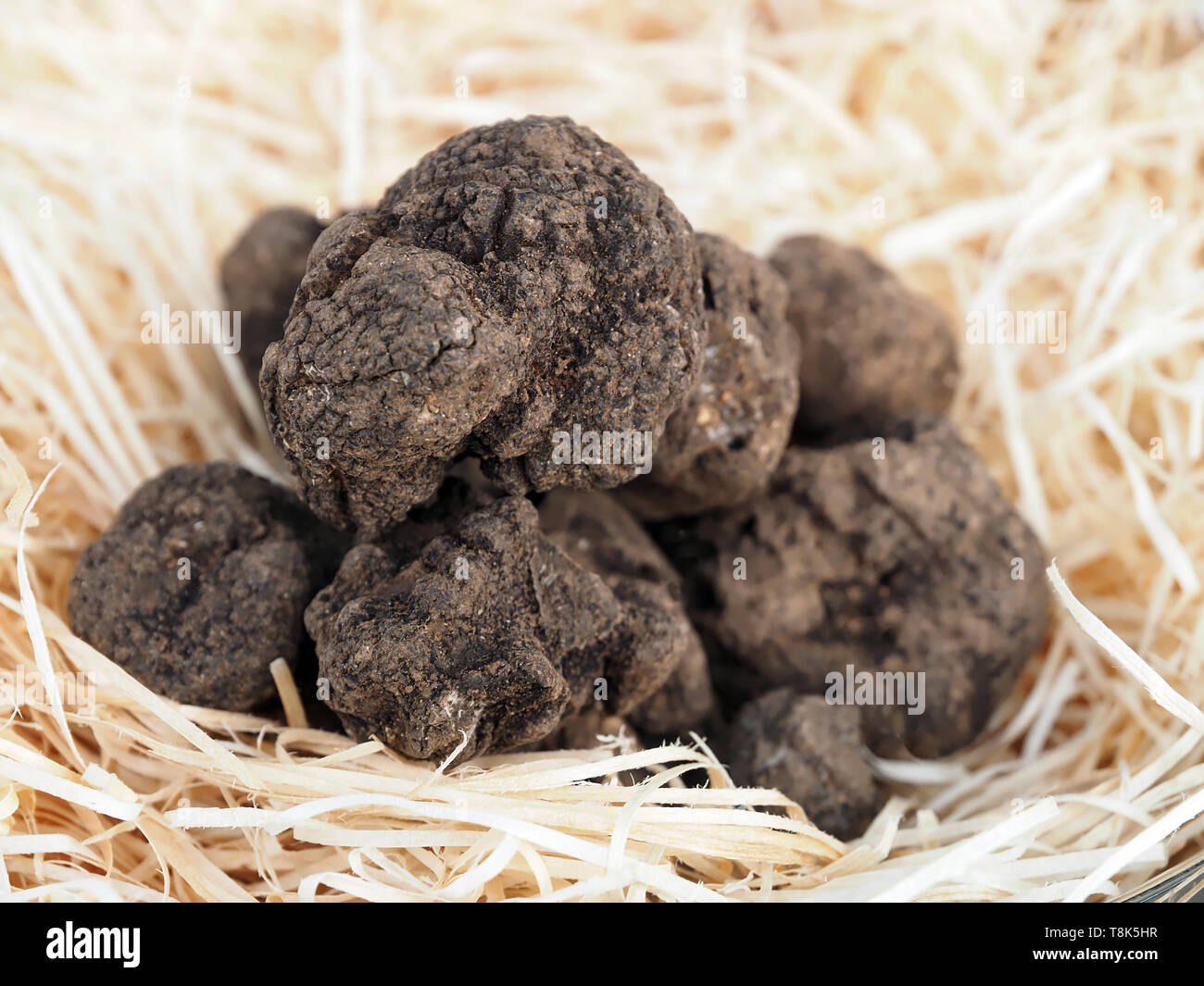 Whole truffle hi-res stock photography and images - Alamy