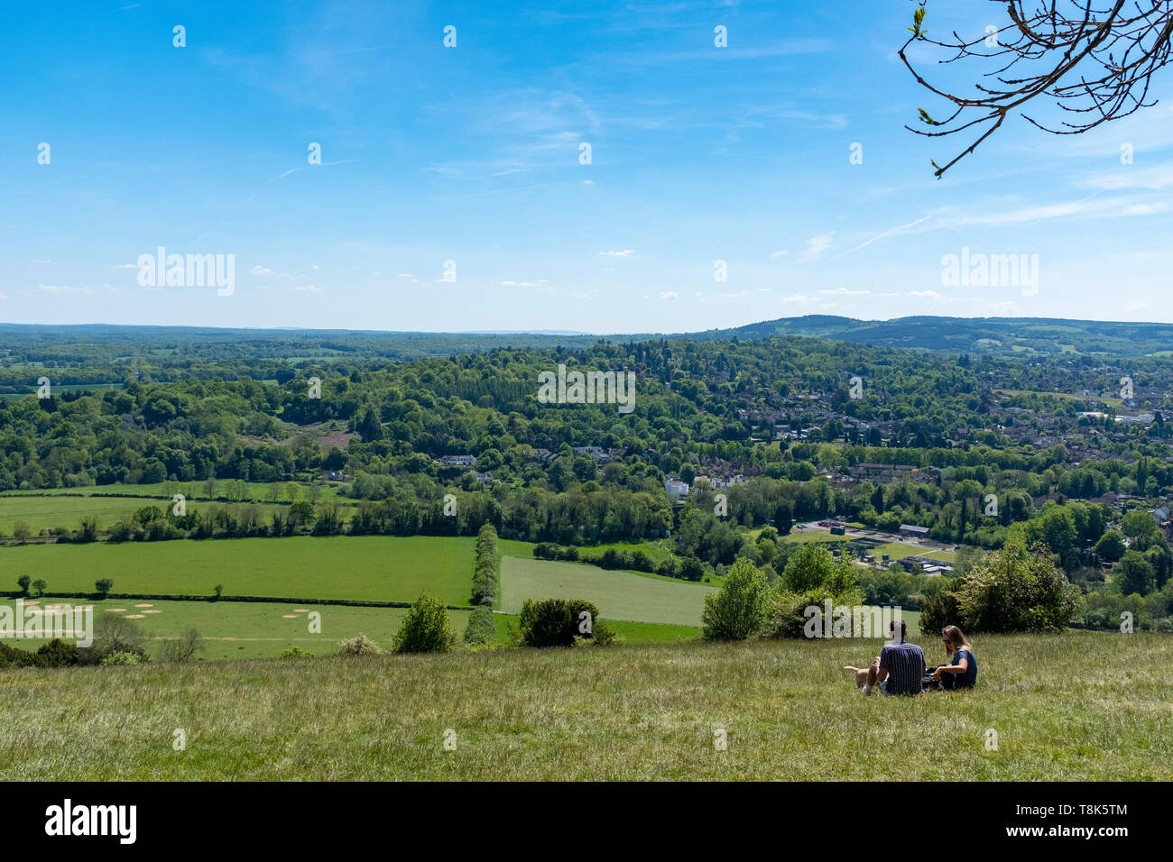 Box hill surrey hi-res stock photography and images - Alamy