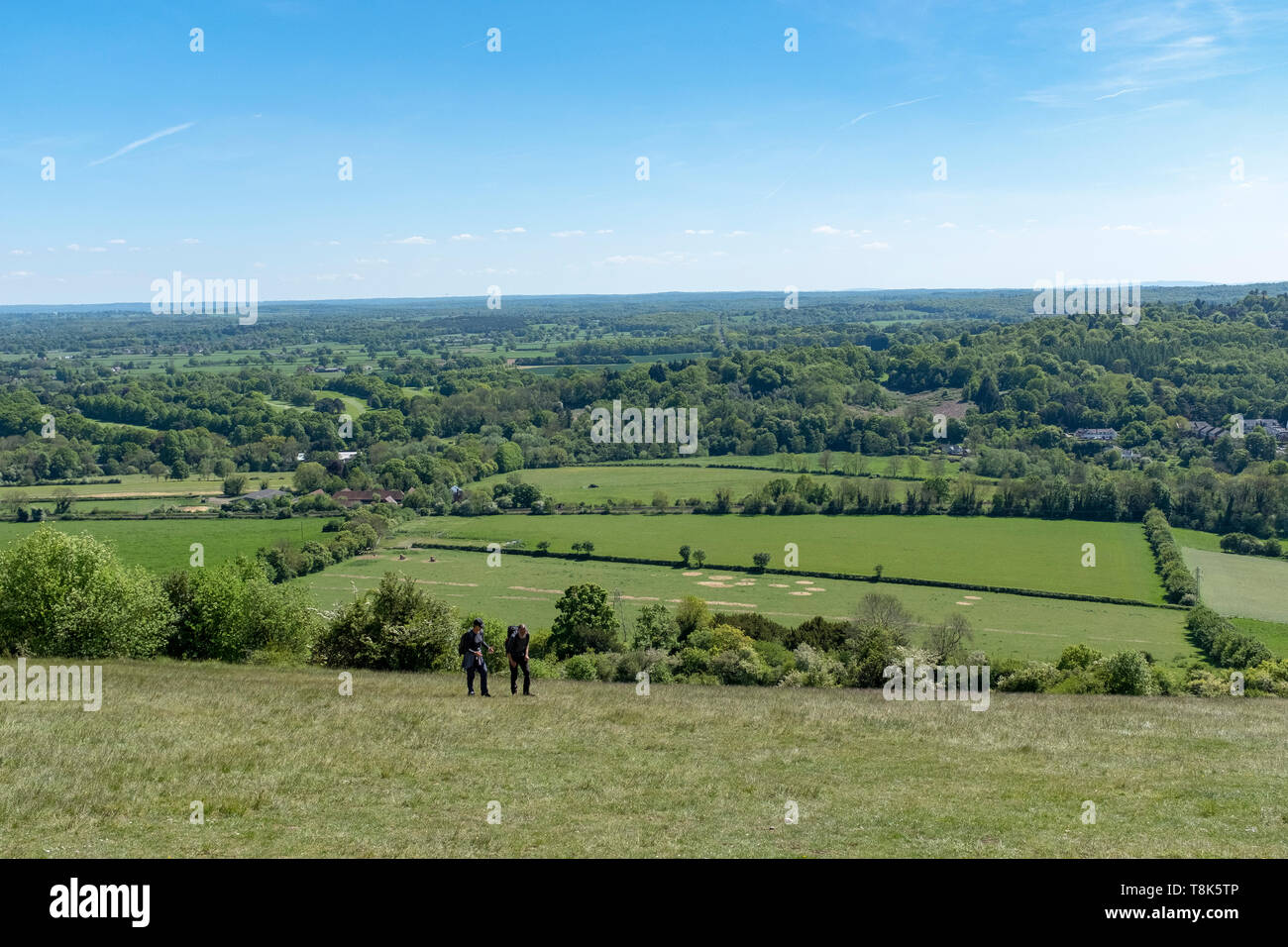 Box hill surrey hi-res stock photography and images - Alamy