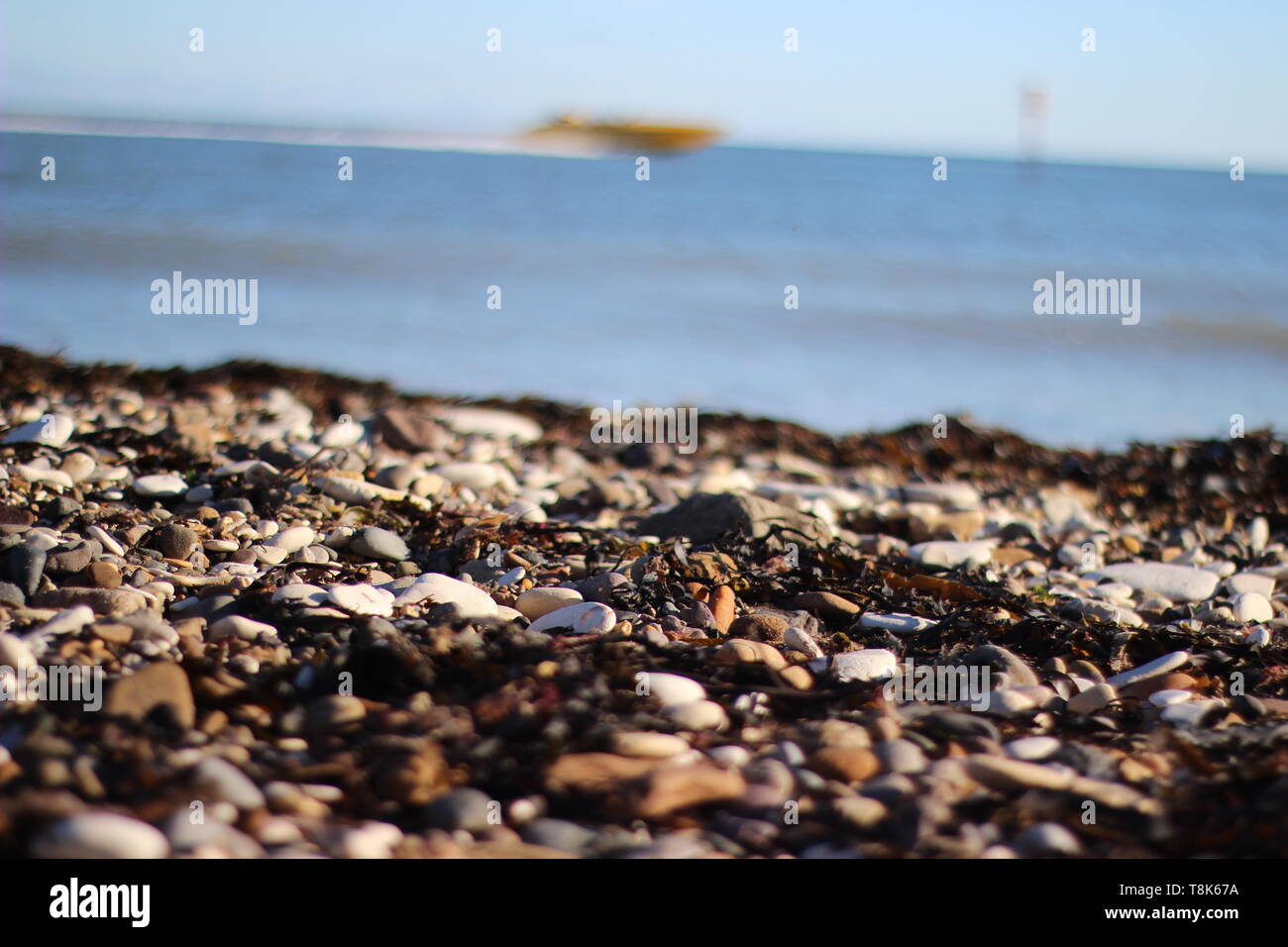 Shingly beach hi-res stock photography and images - Alamy