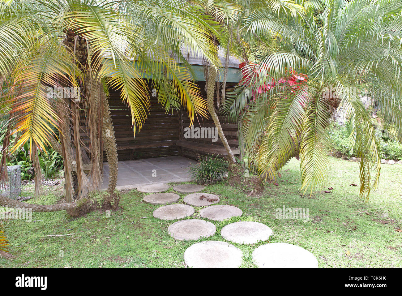 pathway leading to wooden hut shaded by palm trees Stock Photo - Alamy