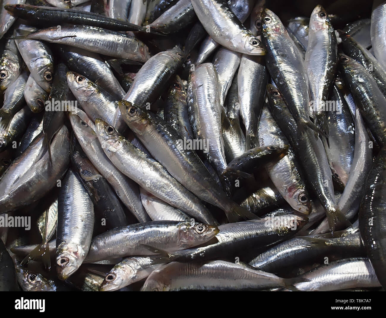 Fresh whole fish on ice at a food market Stock Photo - Alamy