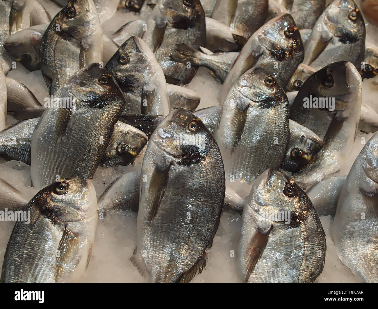 Fresh whole fish on ice at a food market Stock Photo - Alamy