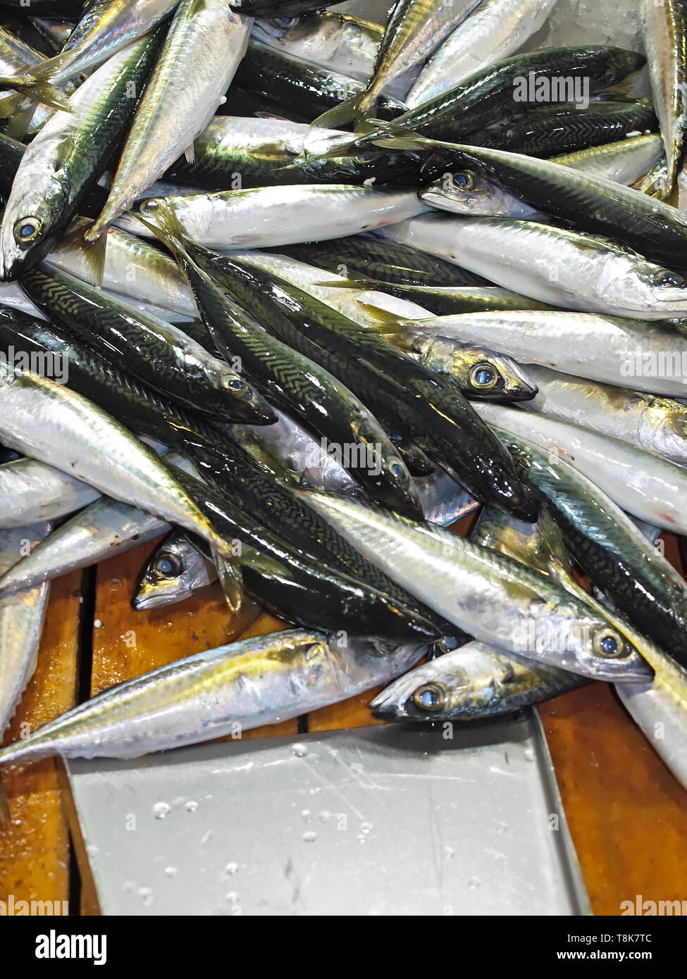 Whole fish on ice hi-res stock photography and images - Alamy