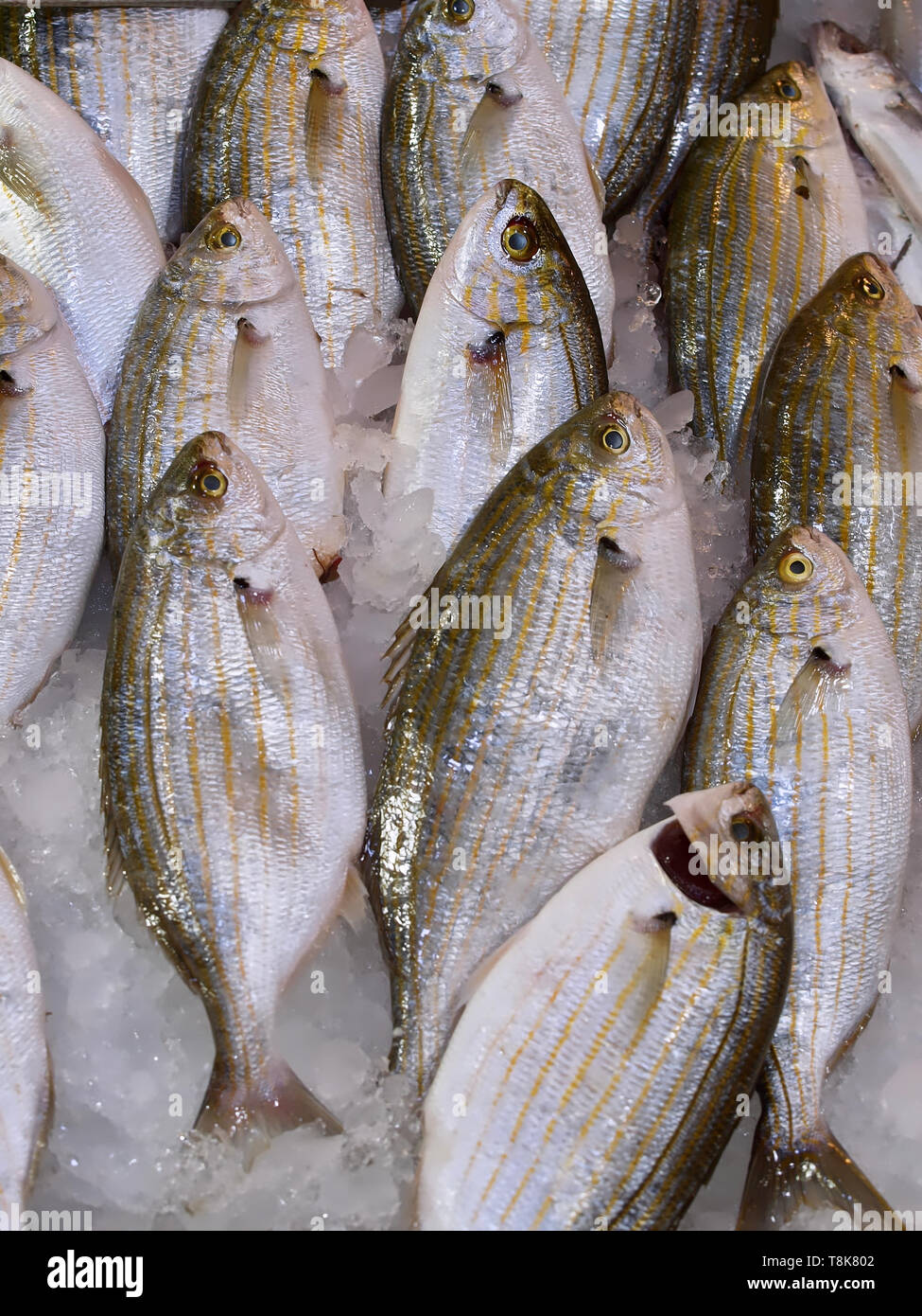 Fresh whole fish on ice at a food market Stock Photo - Alamy