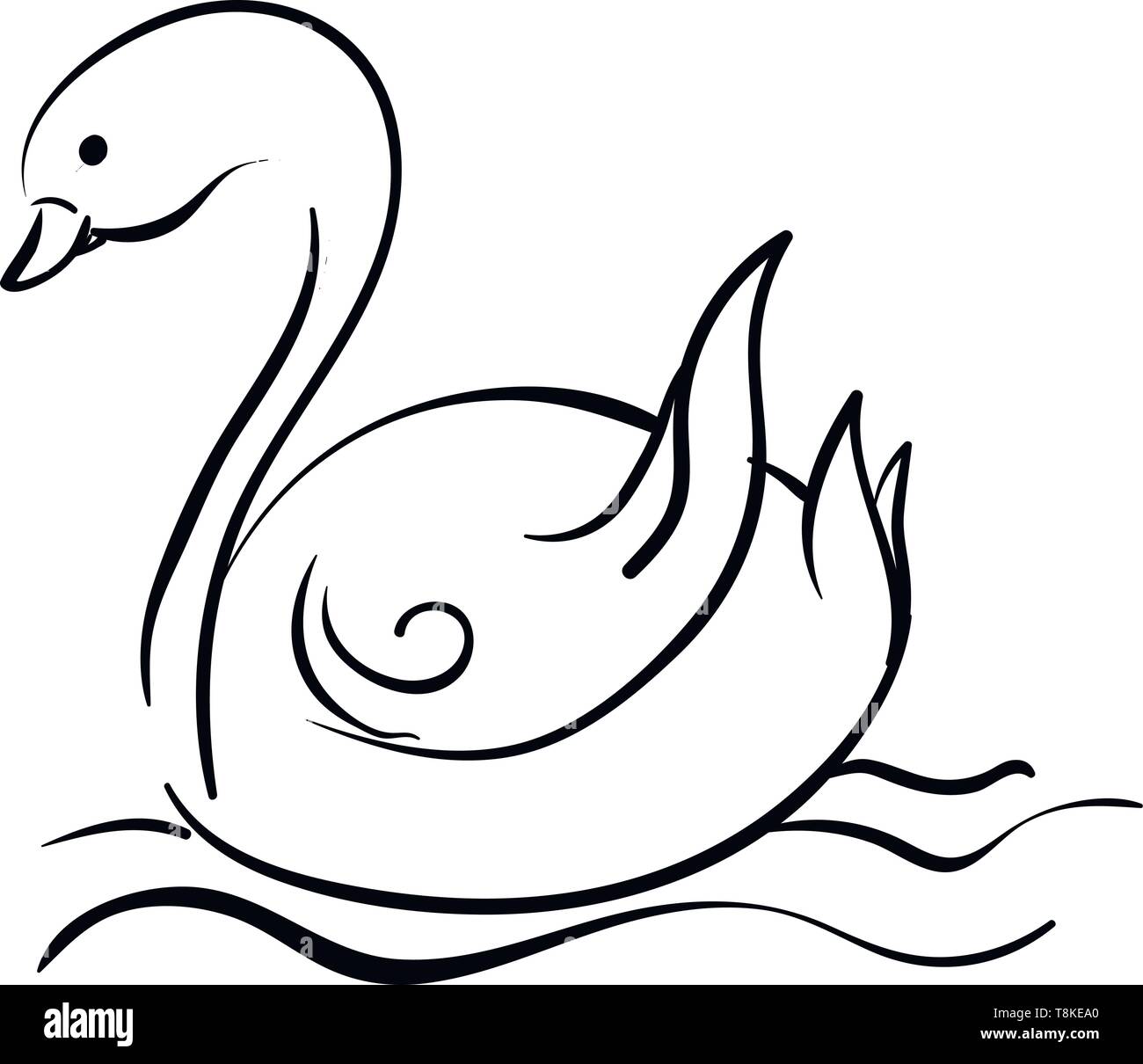 Outlined sketch of a black fluffy swan swimming across the lake over ...