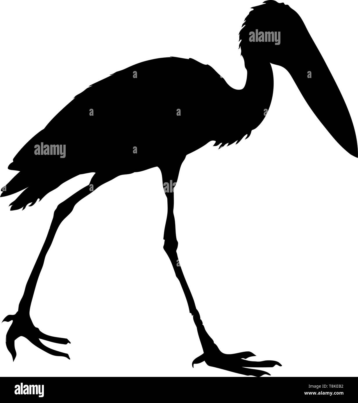 Bird Silhouette. Vector Illustration Stock Vector Image & Art - Alamy