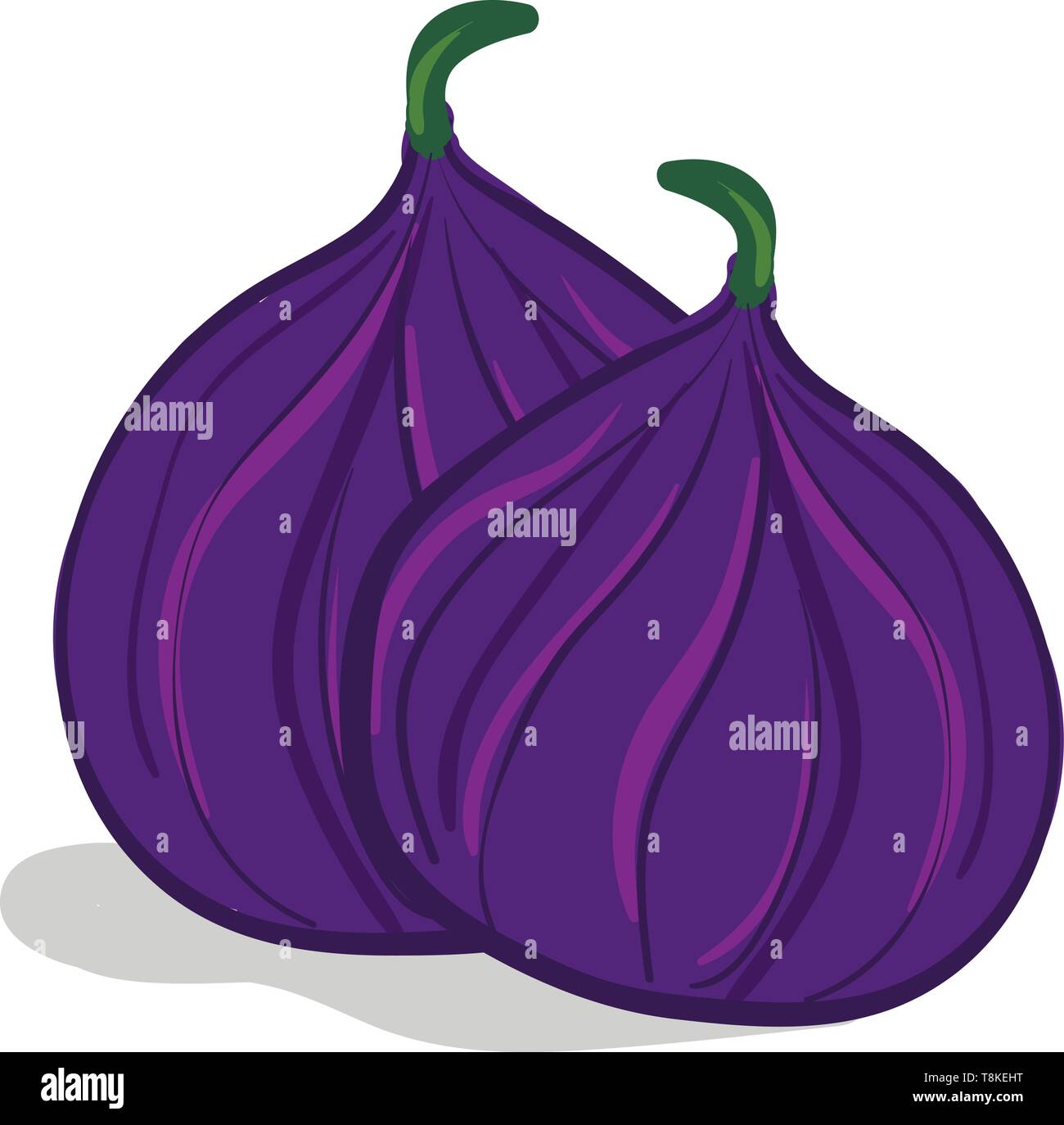 Two seeded Stock Vector Images - Alamy