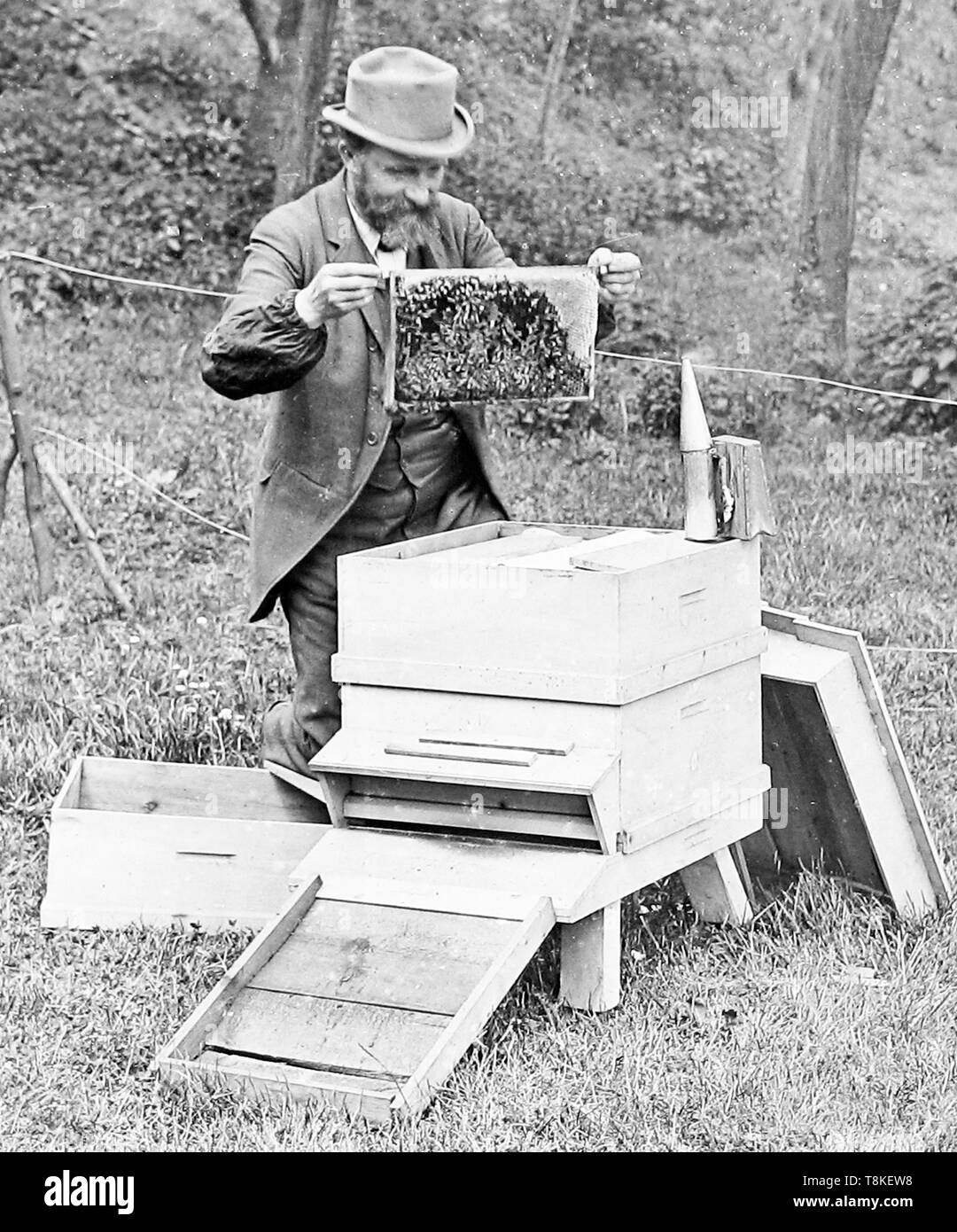 Vintage bee keeping Black and White Stock Photos & Images - Alamy