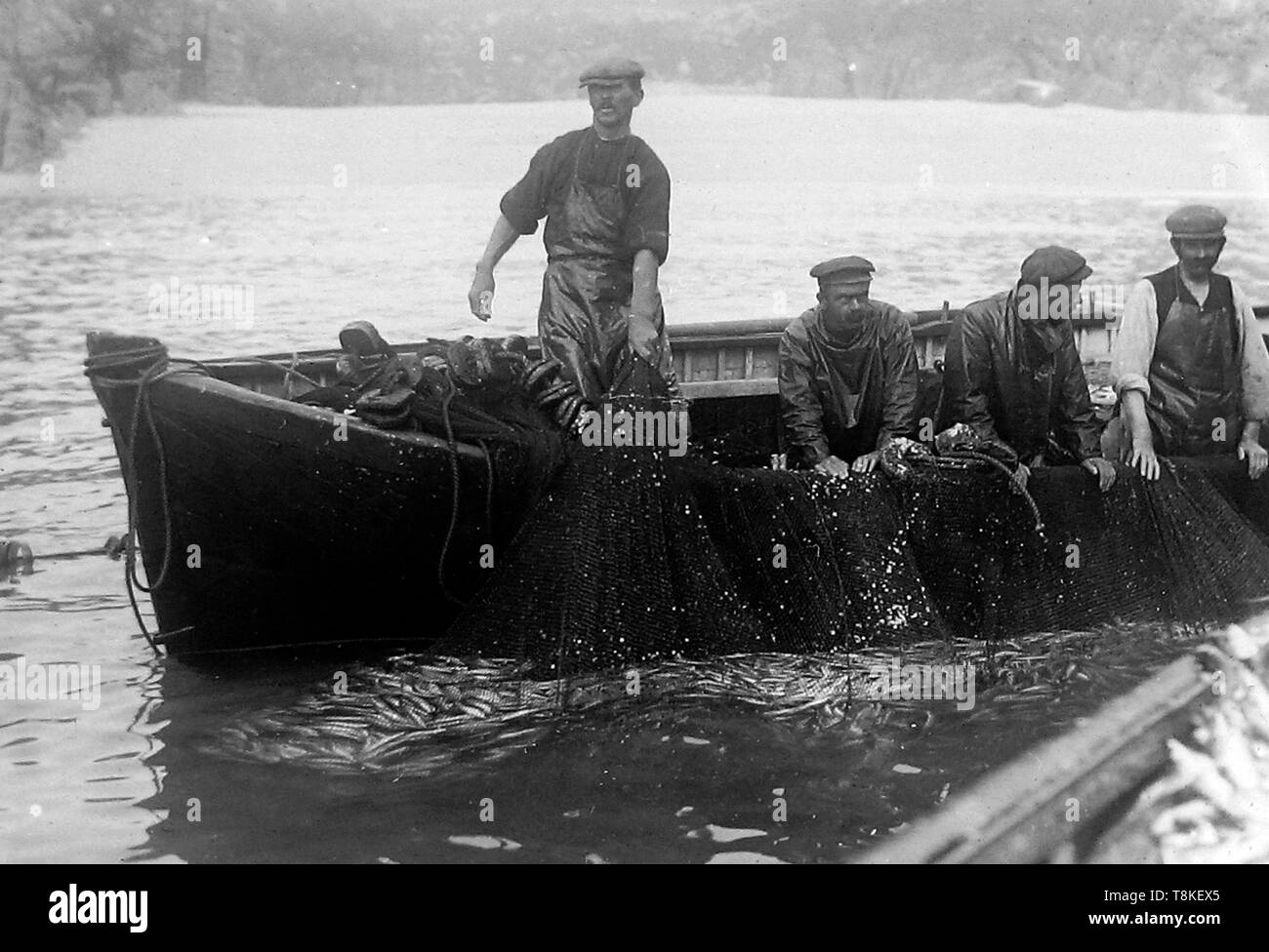 Pilchard fishing in Cornwall with Seine net Stock Photo - Alamy