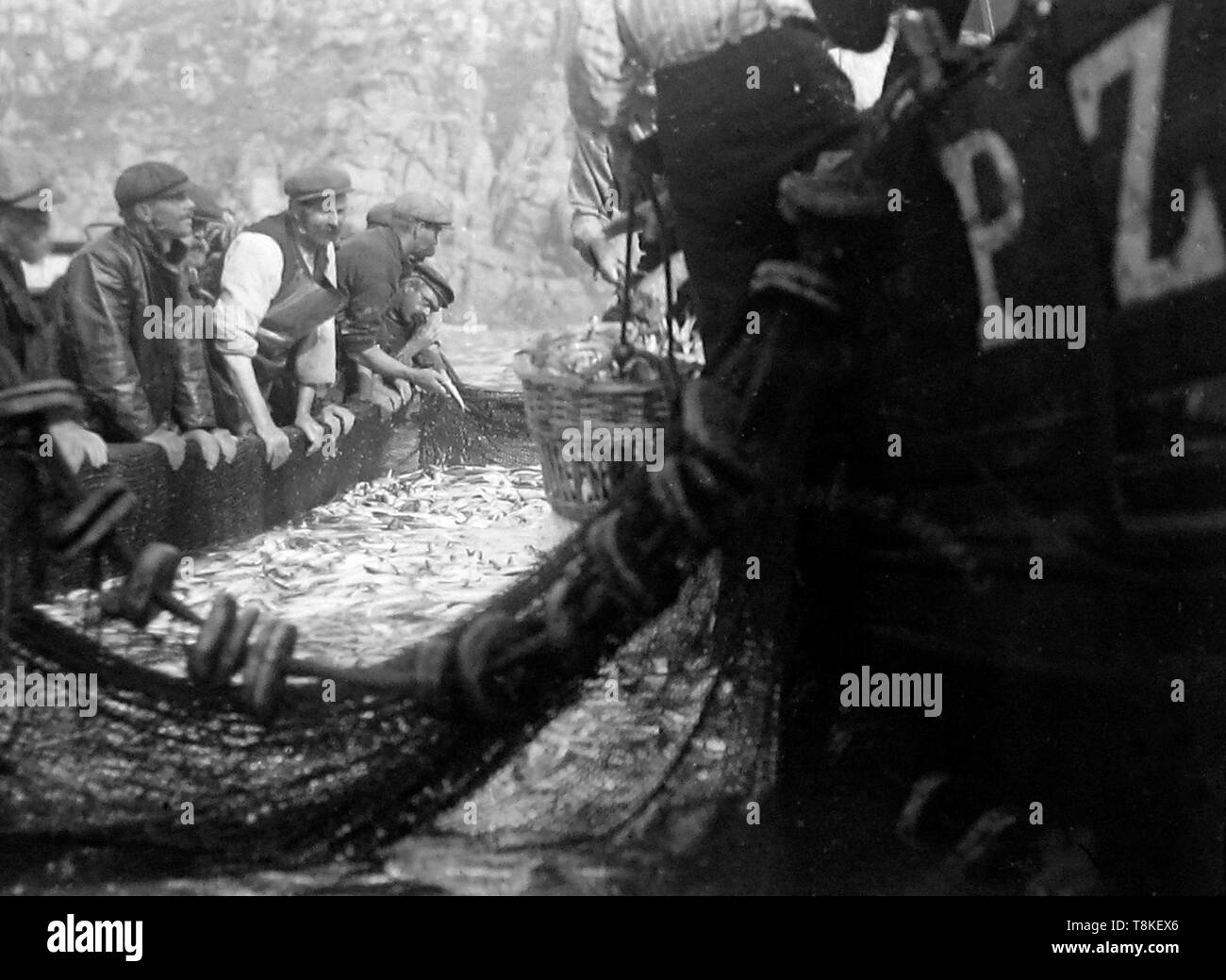 Pilchard fishing in Cornwall with Seine net Stock Photo - Alamy